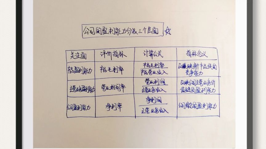 公司盈利能力分析