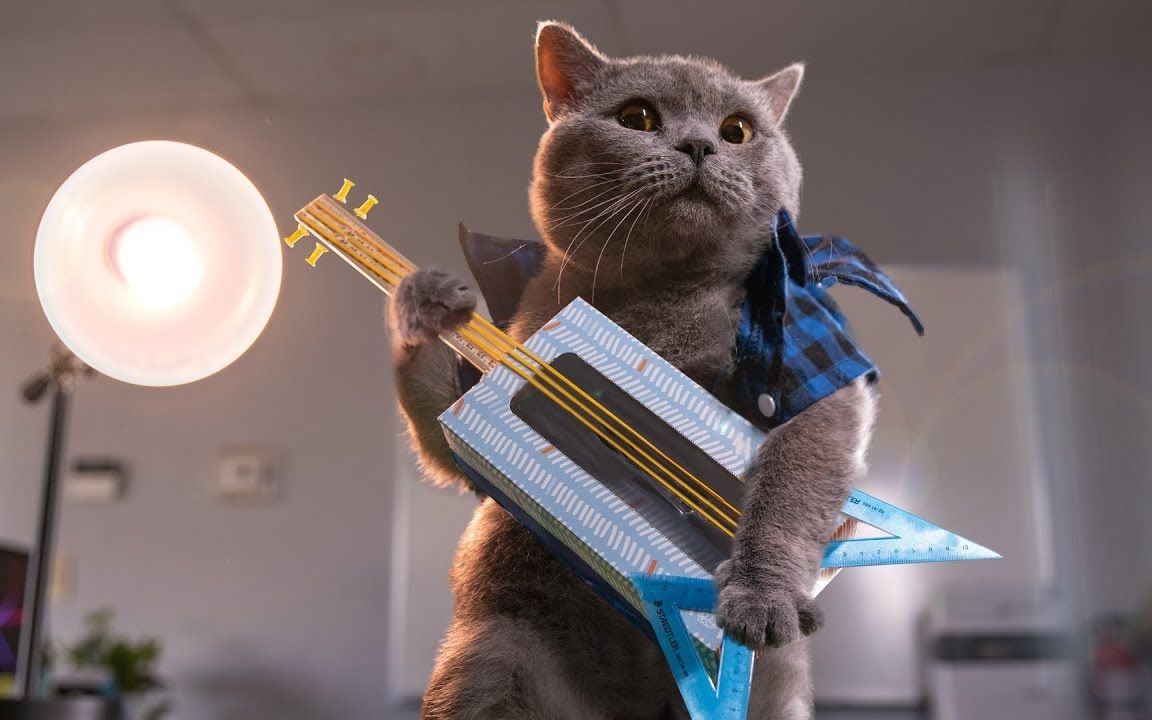 当领导们开会时~造作啊!喵啊!