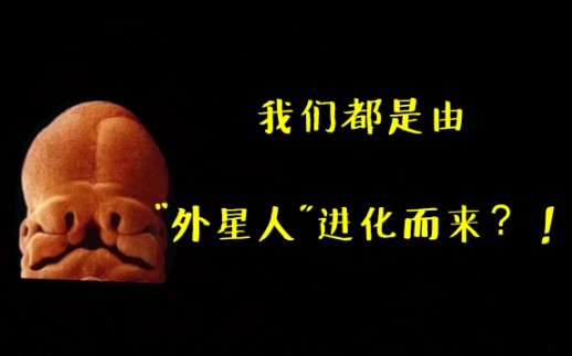 生命的诞生真的是个神奇的过程。