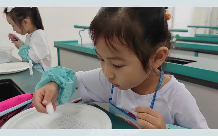 中小学劳动教育(社会实践)课程—纸浆画
