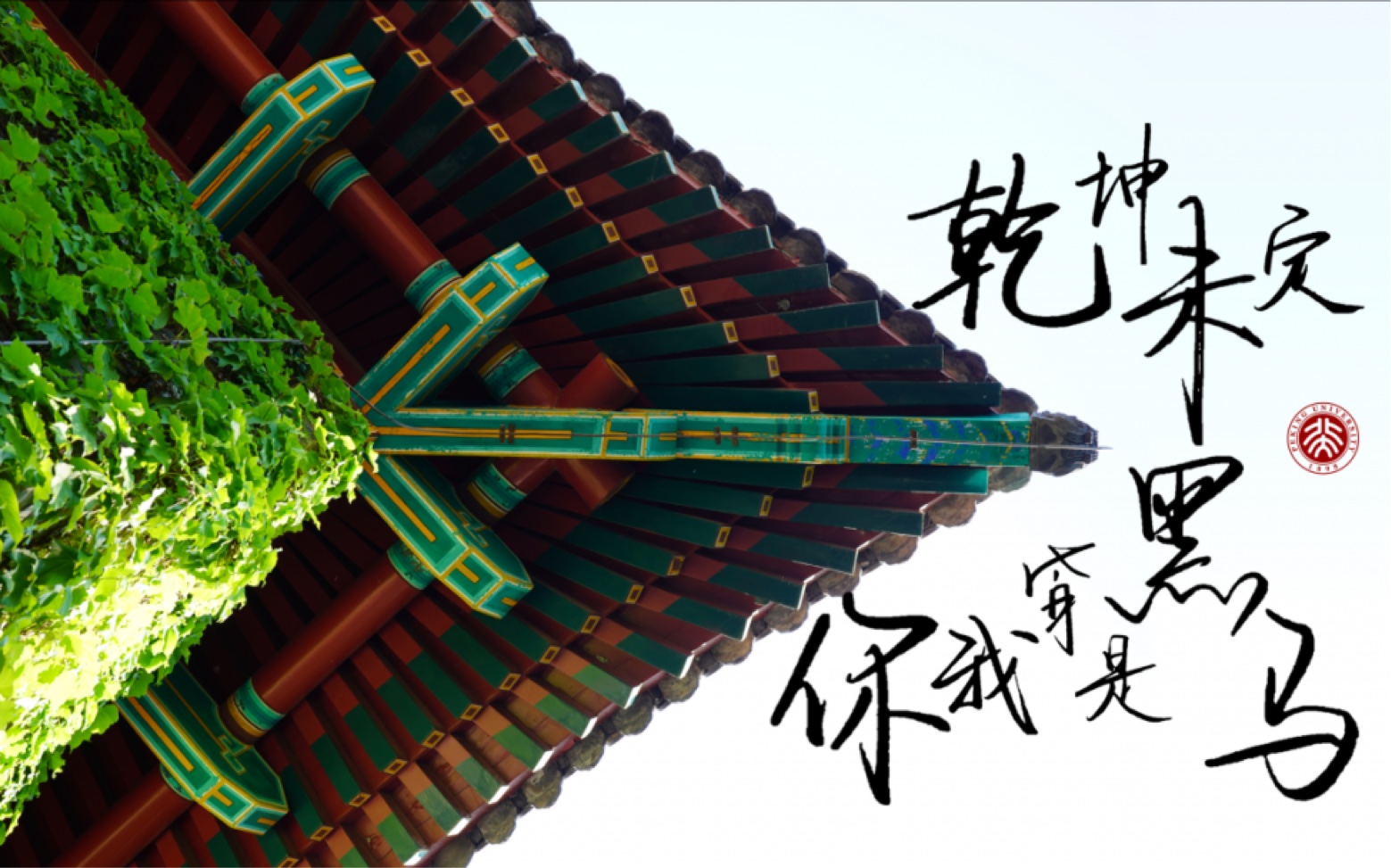 北大励志强基计划宣传片 助力2020高考
