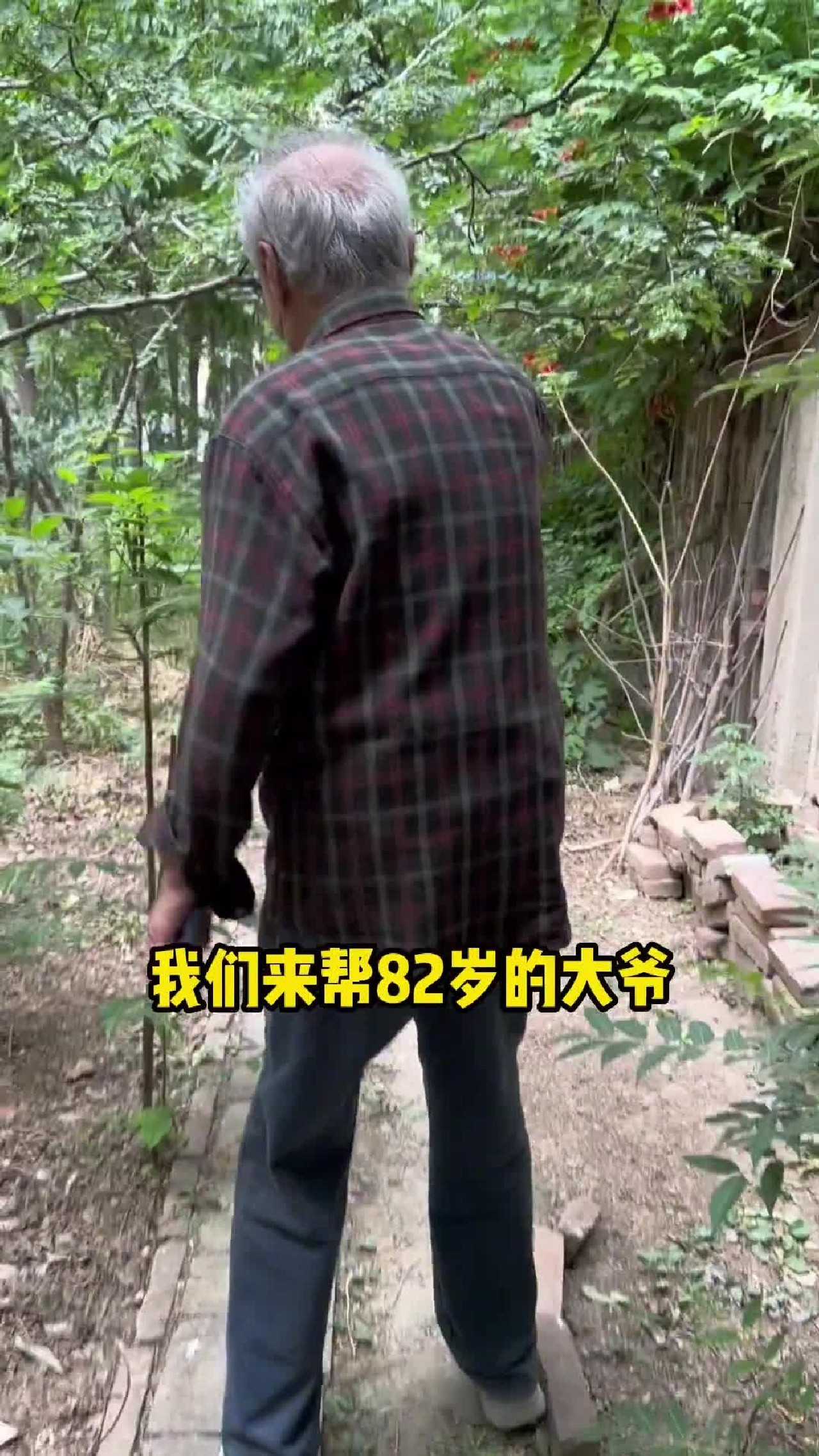 大爷的母猫之耿耿于怀的大爷耿耿于怀的林老师