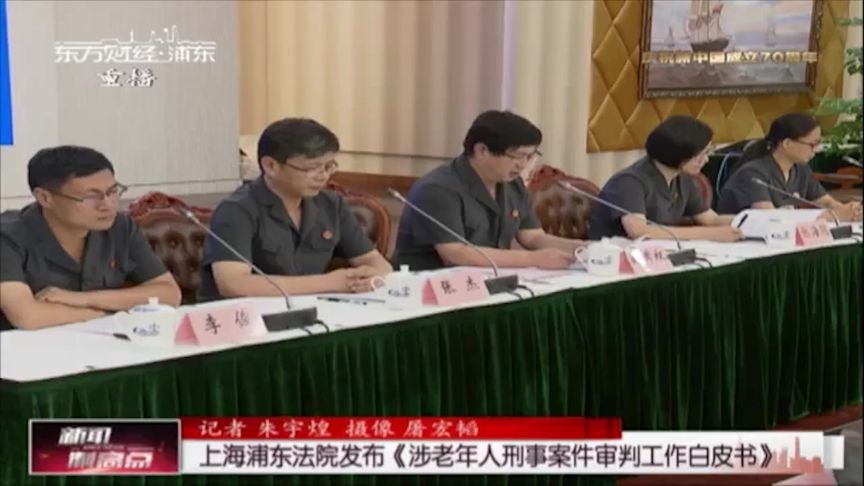 上海浦东法院发布《涉老年人刑事案件审判工作白皮书》