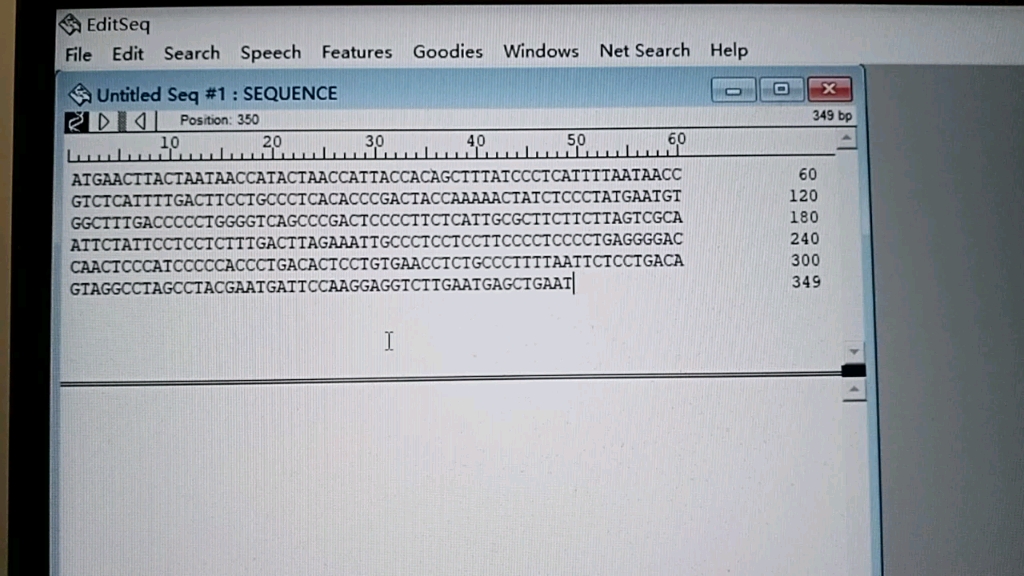 如何在DNAEditSeq中将小写字母变成大写字母