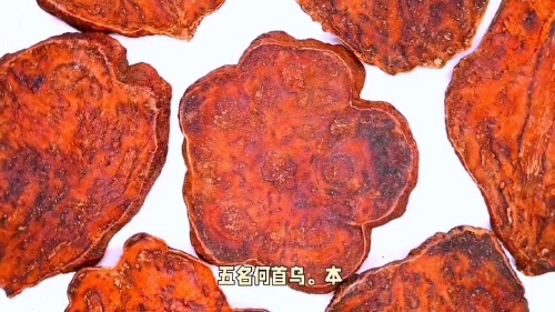 何首乌真的可以让白发变黑吗植物