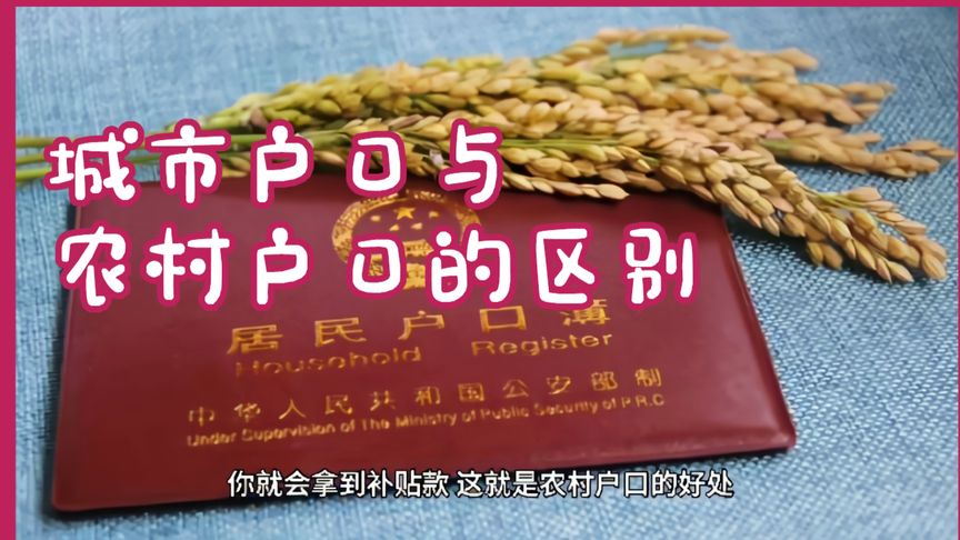 农业户口和非农业户口的区别