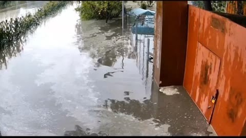 一分钟带你看完洪水来临完整视频