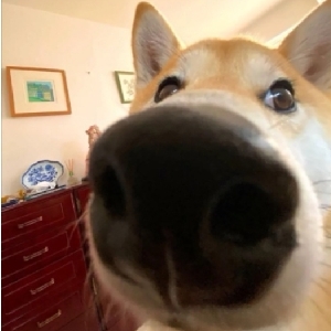 我丢你老牧 