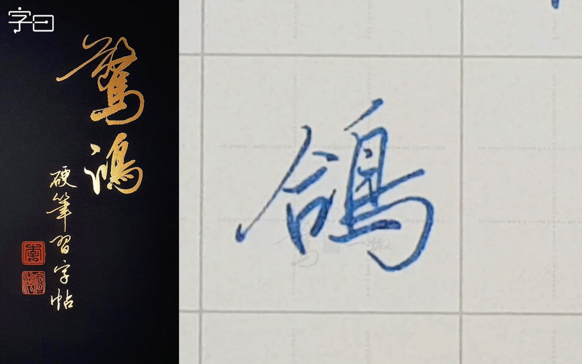 硬笔行楷书法,常用字示范:鲸鲍鲔鲤鳞