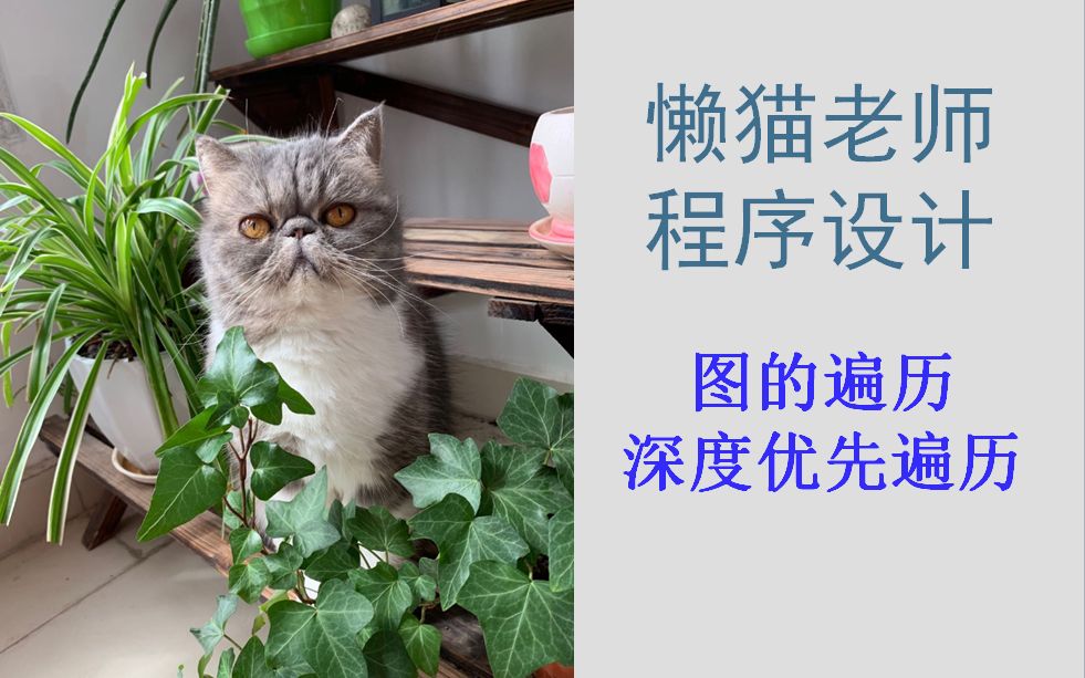 懒猫老师-数据结构-(40)图的遍历(深度优先遍历,DFS)