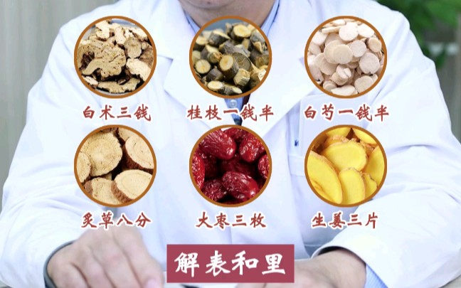 白术桂枝汤