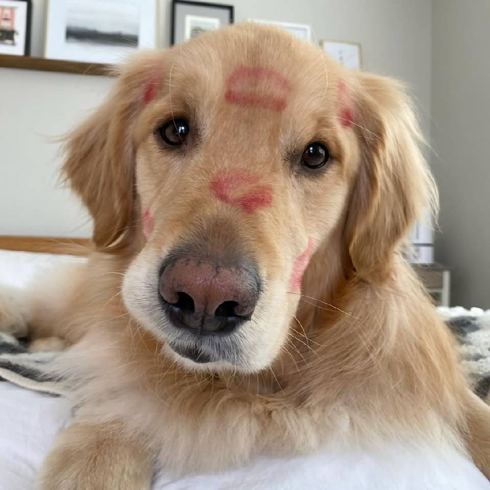 高级萌新戒瘾师 