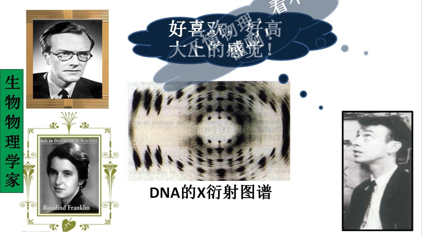 DNA分子结构的发现史