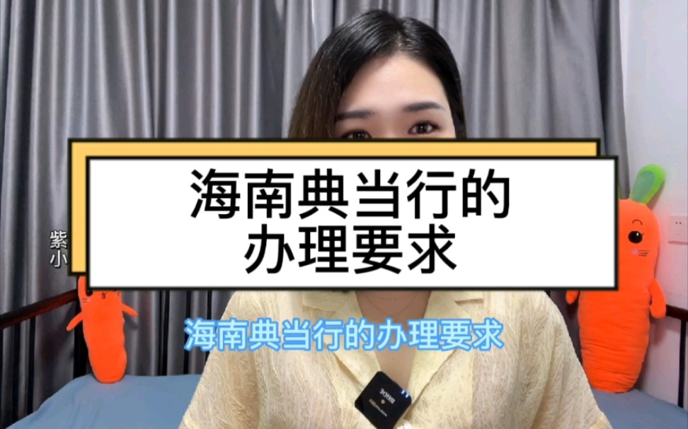 海南典当行的办理要求