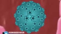 科普动画:HPV感染人体后的病变过程