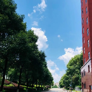 壮志凌云电商分享 