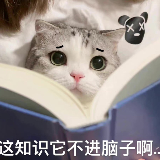 小陈的日常记录XD 