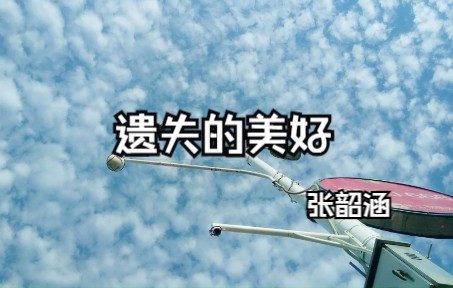 【动态歌词排版】遗失的美好—张韶涵I石头哦尼桑(动态歌词排版分享)
