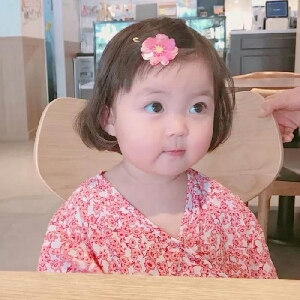 凌海棠 