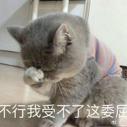 就是我m 