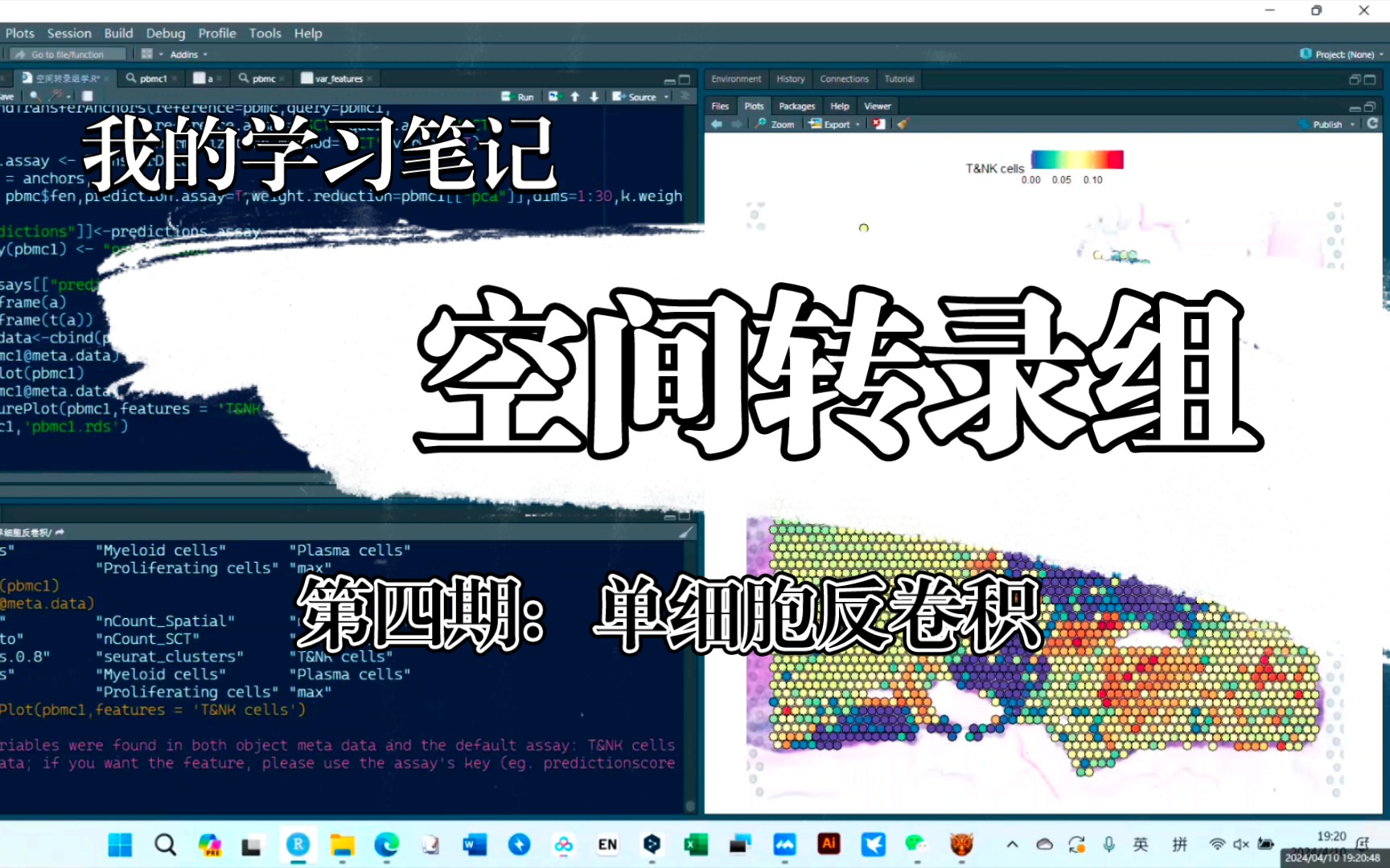 R语言空间转录组自学,单细胞反卷积(第四期)