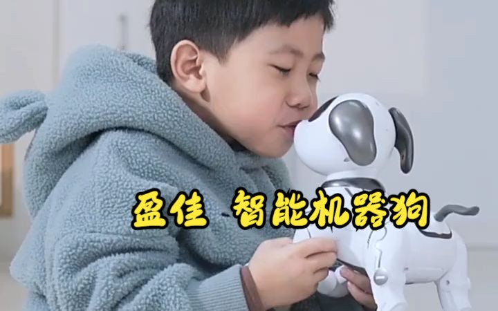 盈佳智能特技编程遥控机器狗,男孩儿童电子玩具,电动益智早教宝宝机!