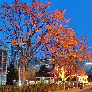 小Fei贺 