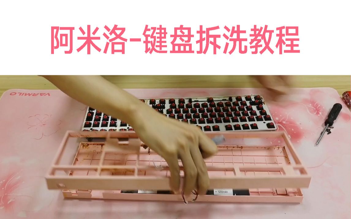【阿米洛】保姆级键盘拆洗教程!机械键盘脏了怎么办?问题不大,洗洗还...