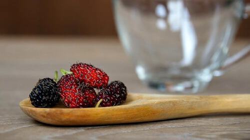 桑葚干别乱吃!这样选营养翻倍,直接吃还是泡水一次讲清