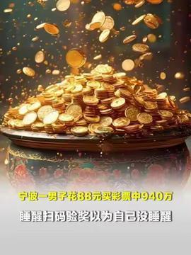 宁波一男子花88元买彩票中940万:睡醒后顺手扫票验奖,一看结果以为...