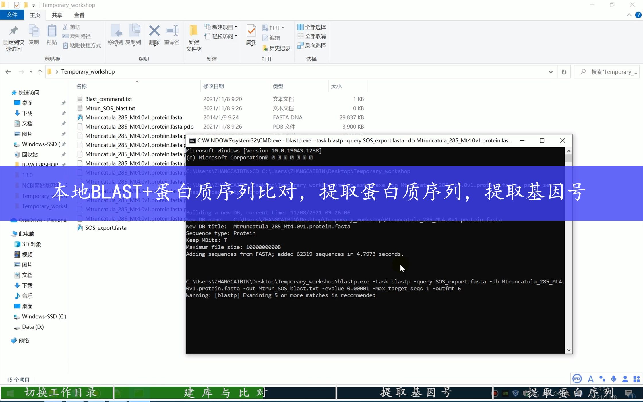 本地blast+蛋白质序列比对,提取蛋白质序列,提取基因号