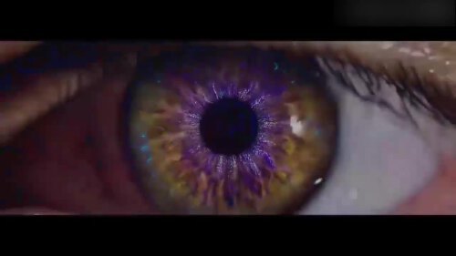 2025最新Kali渗透298集零基础到精通!黑客入门必看网络安全教程