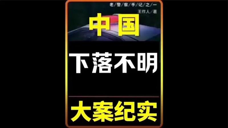 958.下落不明真实故事大案记实真实案件
