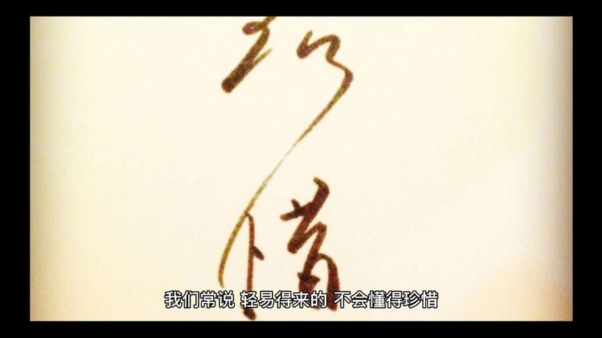 喜欢张嘉佳老师写的《从你的全世界路过》