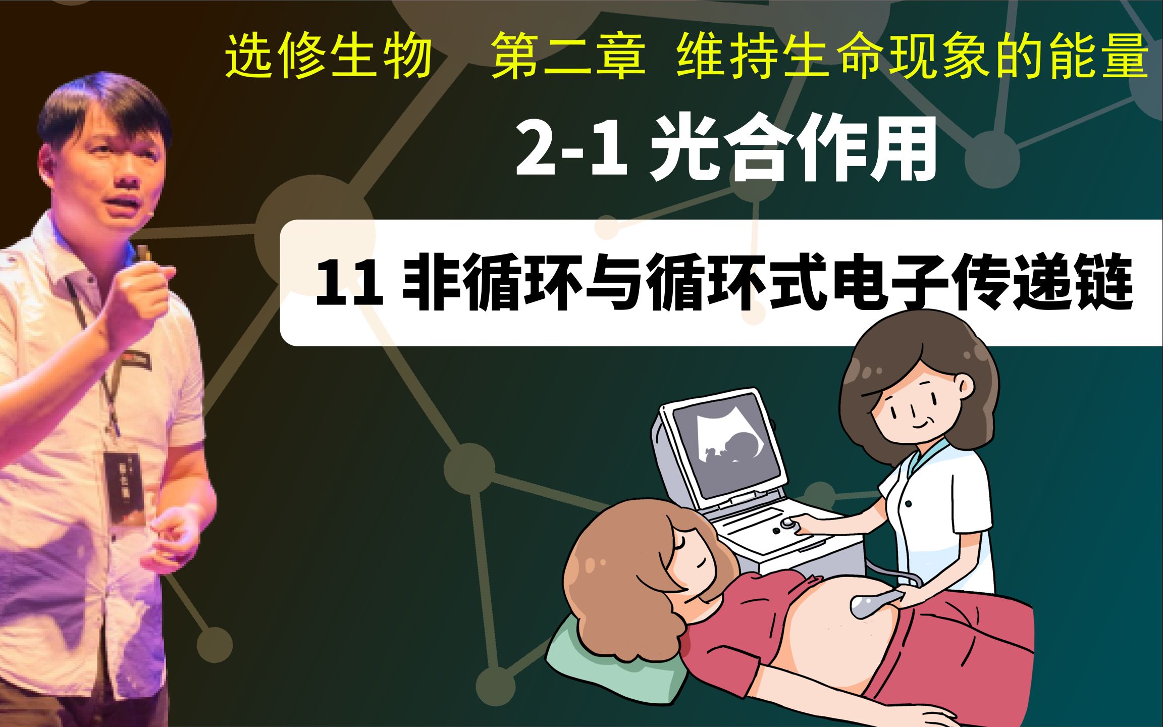 选修生物2-1.11 非循环与循环式电子传递链