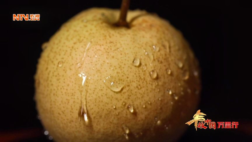 国家农产品地理标志登记产品:孟津贡梨
