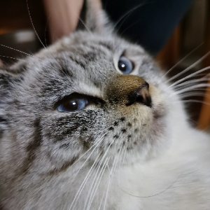 爱华地波小电视 