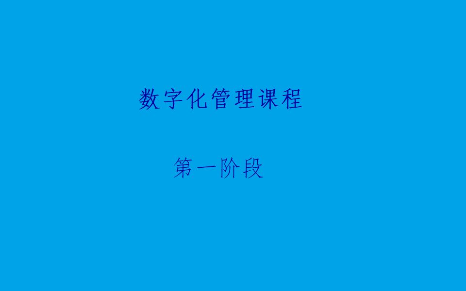数字化管理 I