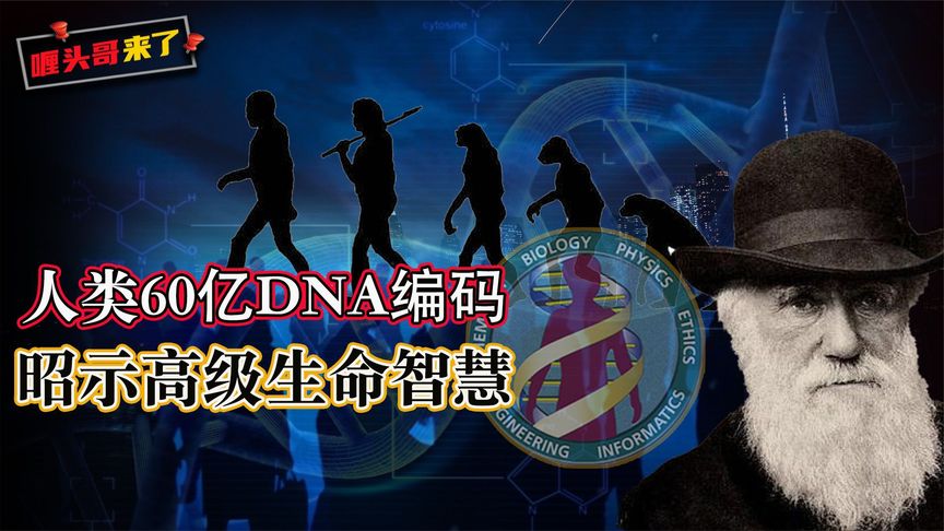 人类基因组计划,证明了神的存在?人类60亿DNA编码,10%无法破解