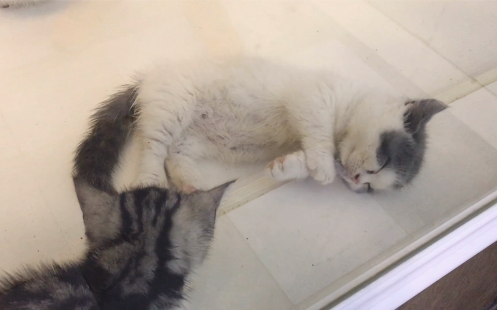 2019.7放假第一周的vlog