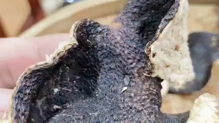 多年的老青陈皮,一红陈皮,皮面变黑了,白囊也有明显变化和虫蛀,就是...