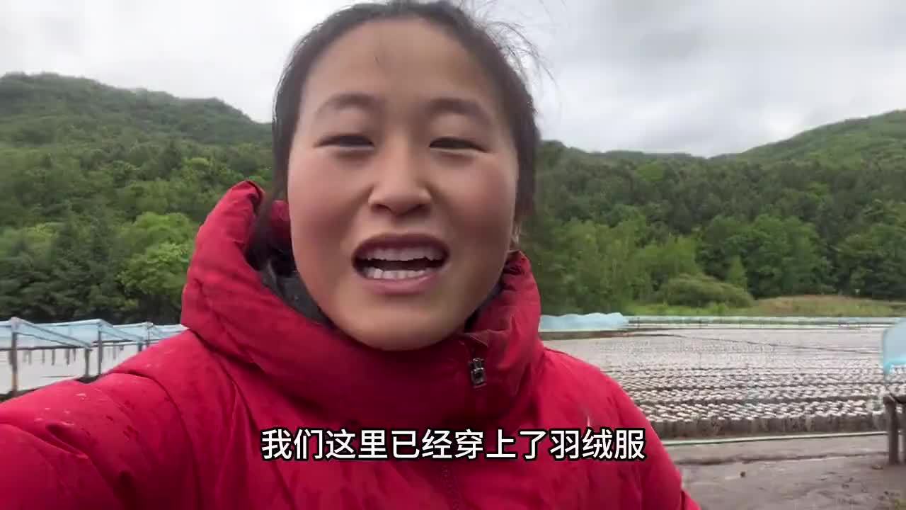 90后姑娘在东北养木耳,雨下了一夜,冻的穿貂