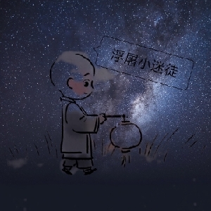 浮屠小迷徒 