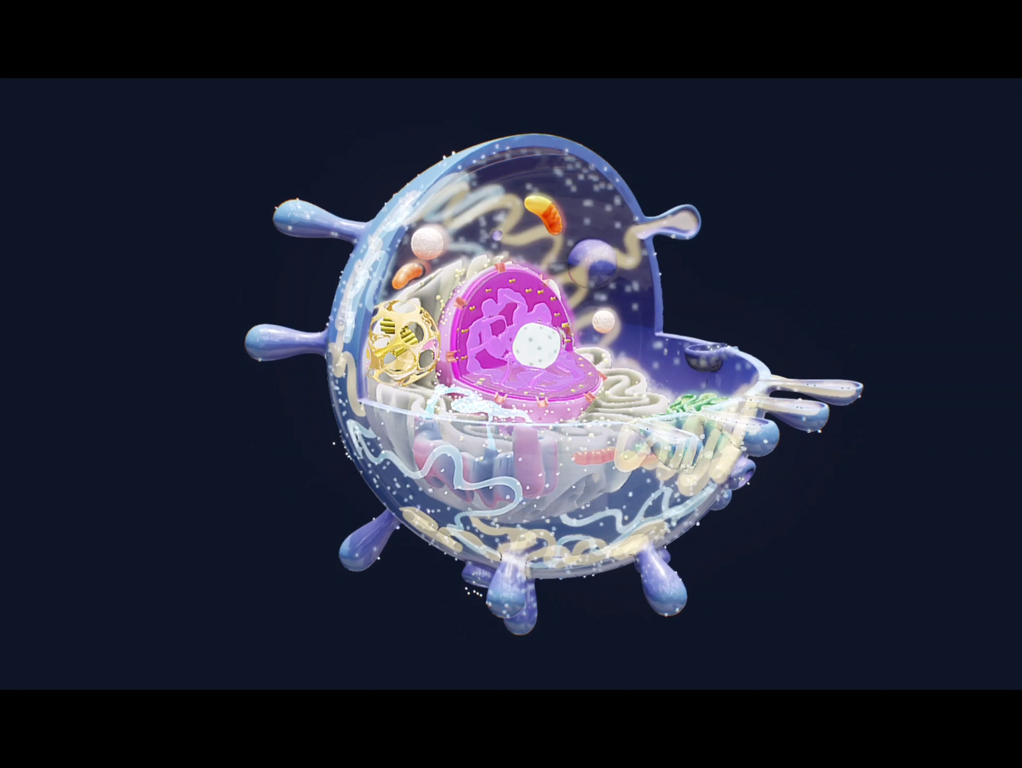 动物的微观世界:精准的动物细胞模型制作https://llllline.com/zh-CN/...