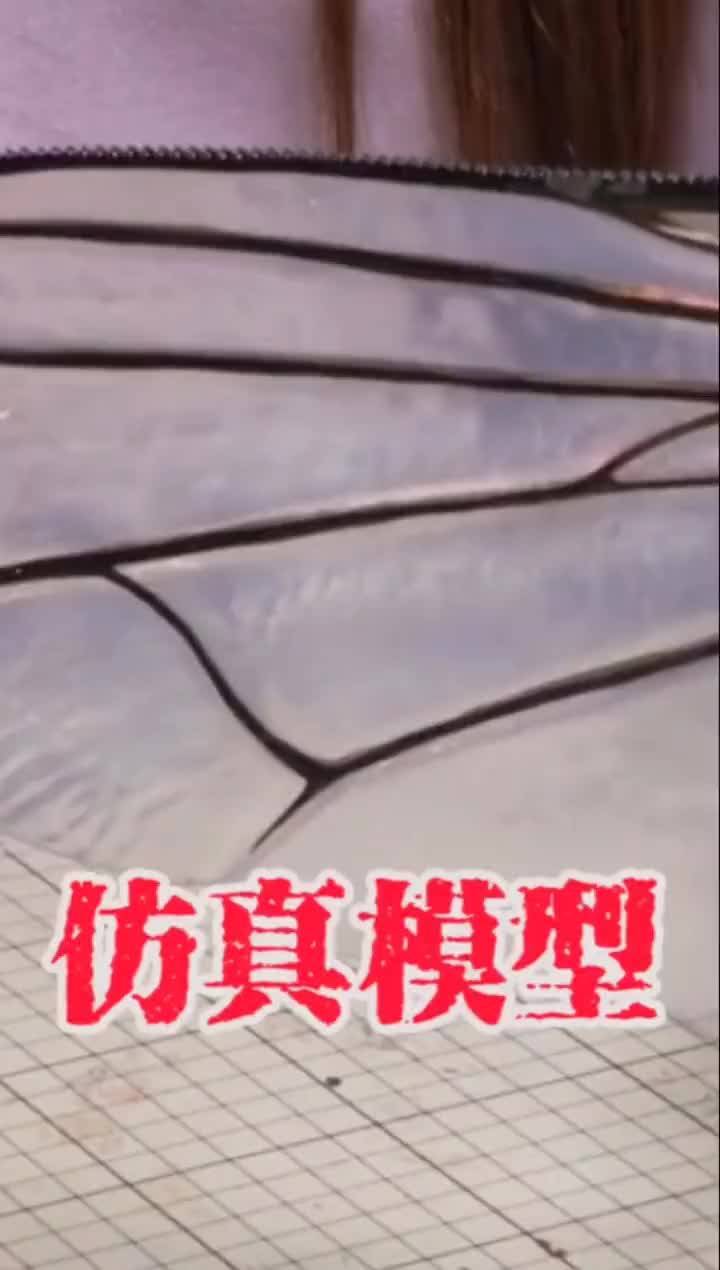 仿真模型(二)#仿真#模型#仿真模型