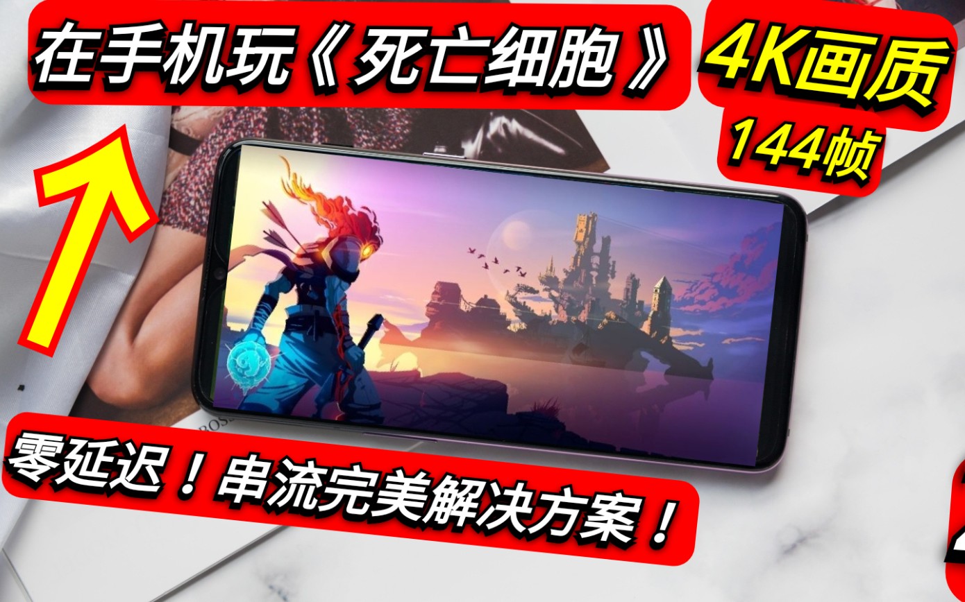 ...教程,4K画质,144帧,零延迟,完美解决方案:Steam, Wii U, PS4 & Switch