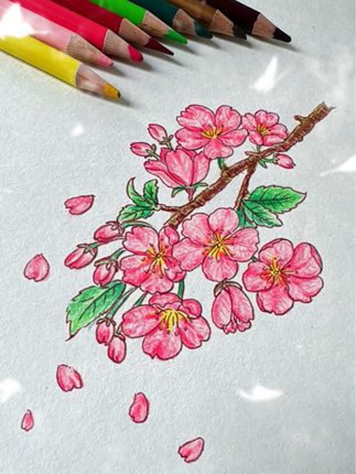 万能的椭圆来画樱花啦 #简易花草画法 #儿童画 #简笔画 #樱花 #彩铅...