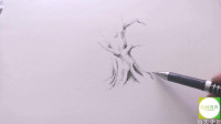 零基础钢笔画教程:教你画一棵超写实树,简单易学,一起来学习