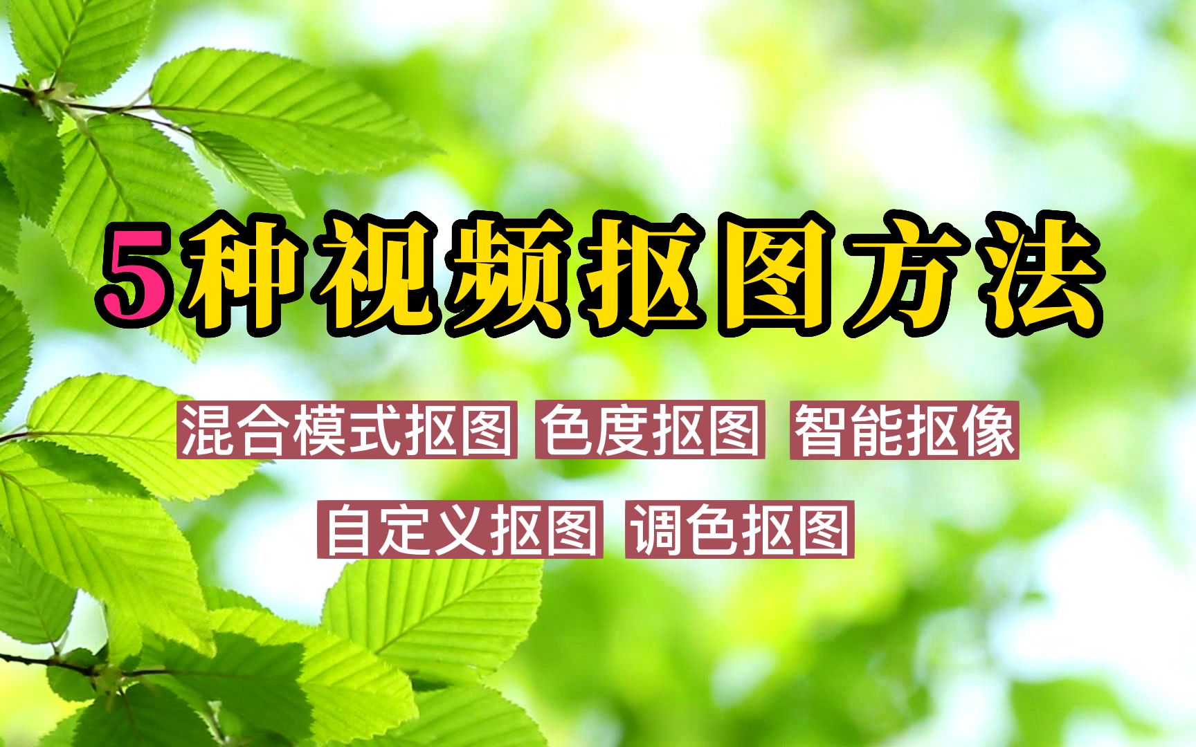 5种视频抠图方法,最后一种堪称神操作