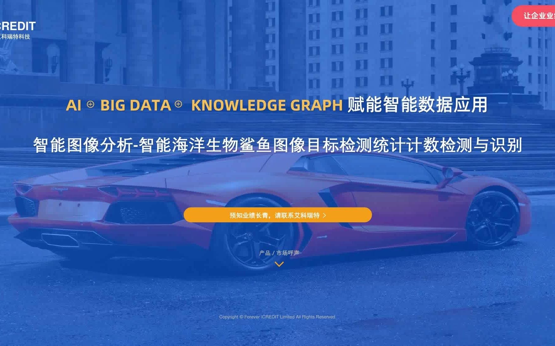 智能图像分析-智能海洋生物鲨鱼图像目标检测统计计数检测与识别-...